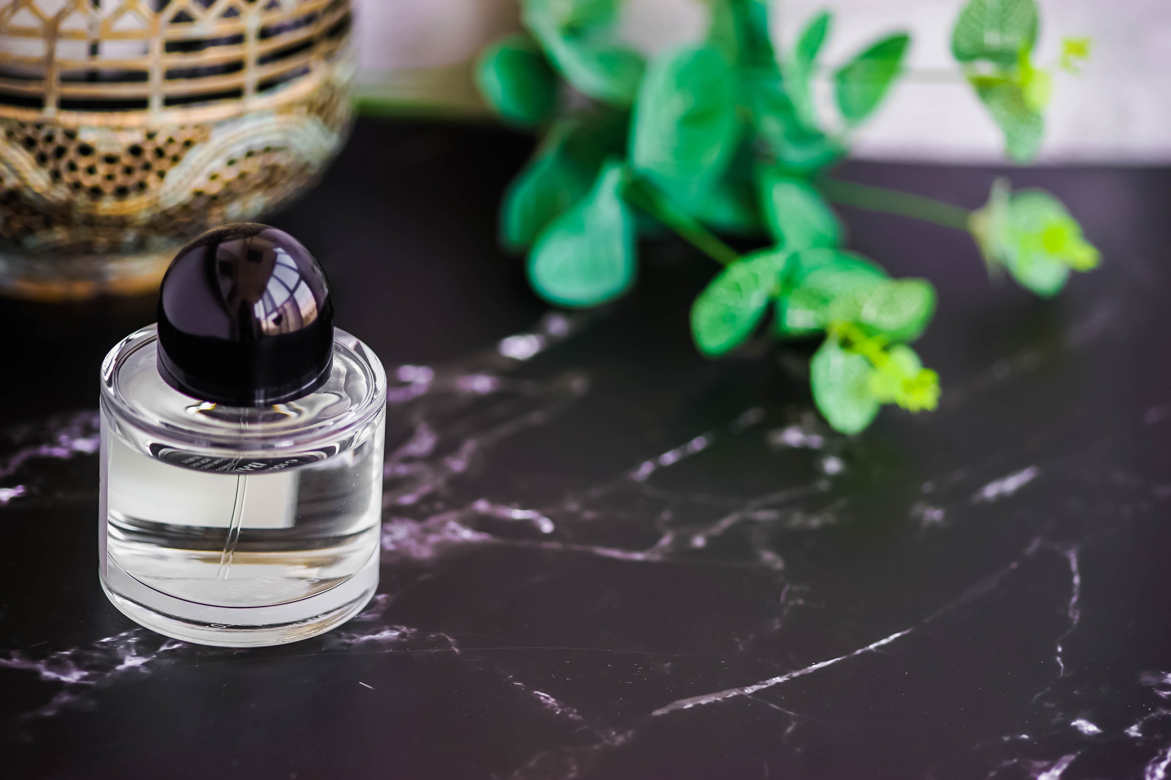 Musky Scent Refills – Candle Envy